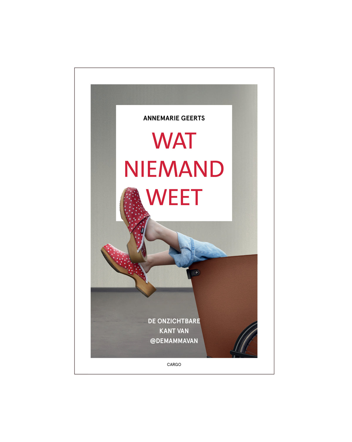 Pre-order Wat niemand weet | Het tweede boek van bestseller Annemarie ...